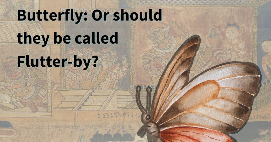 Butterfly: Or should they be called Flutter-by? - Azim Premji University