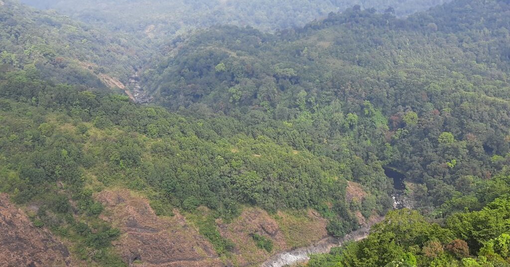 Implementation of Forest Rights Act: Observations from Kerala’s ...