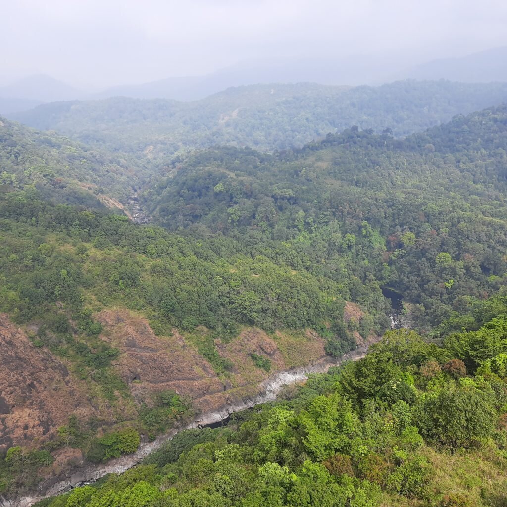 Implementation of Forest Rights Act: Observations from Kerala’s ...